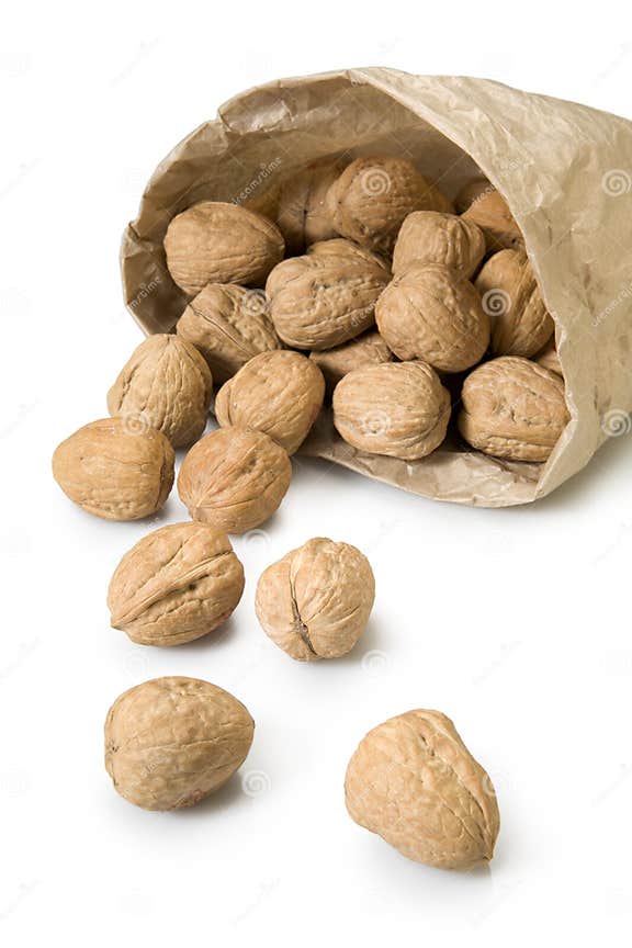 Bag of walnuts stock photo. Image of shopping, xmas, roast - 3668470