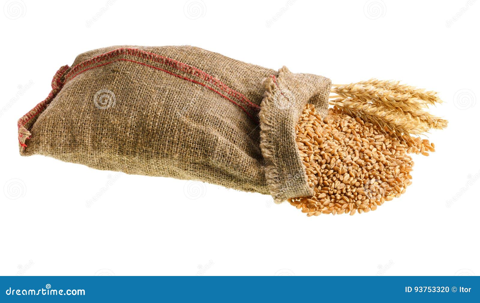 Bag of wheat stock photo. Image of agriculture, barley - 93753320