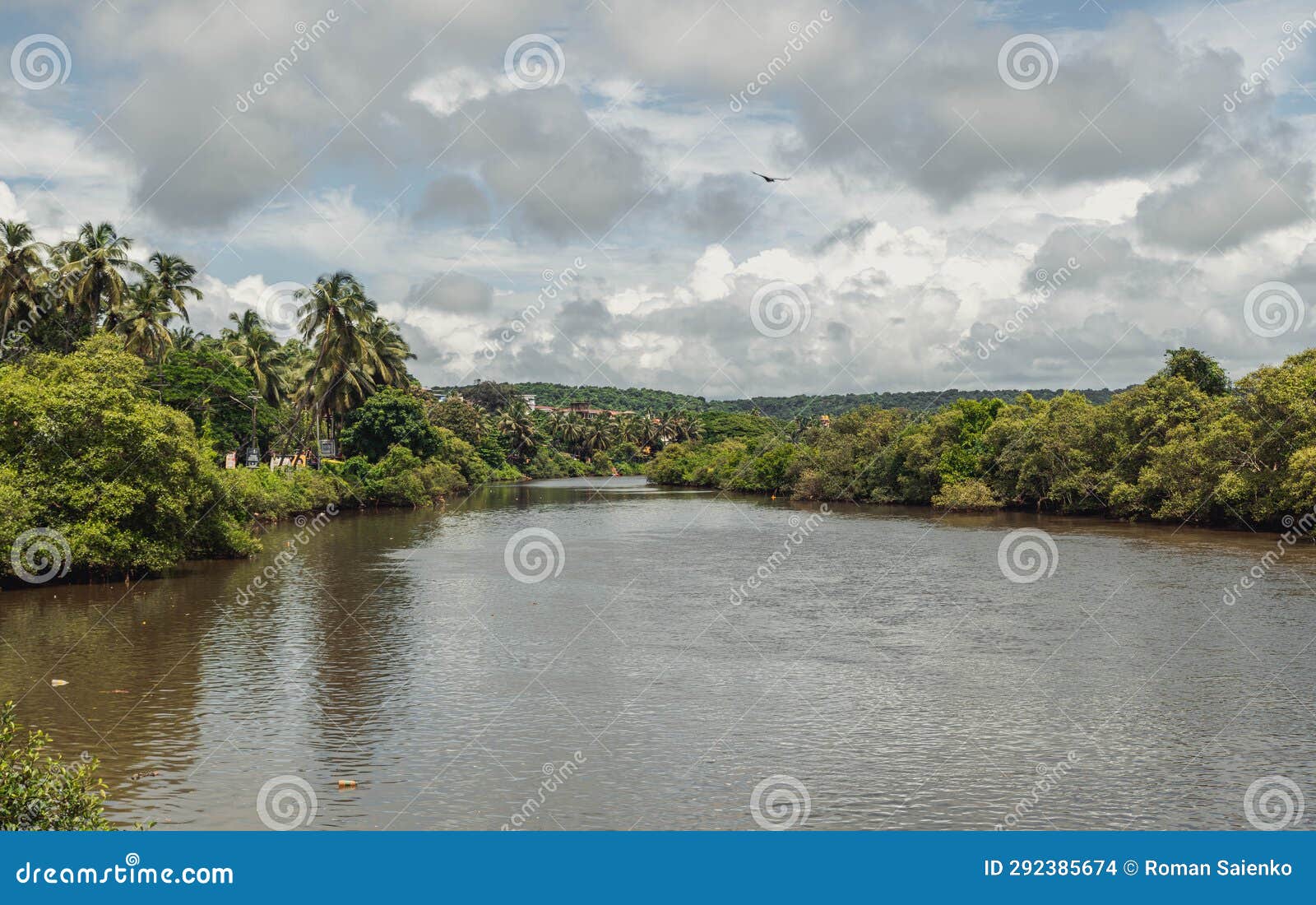 Baga River in Goa, Flowing in the Area of the Same Name Baga. Stock ...