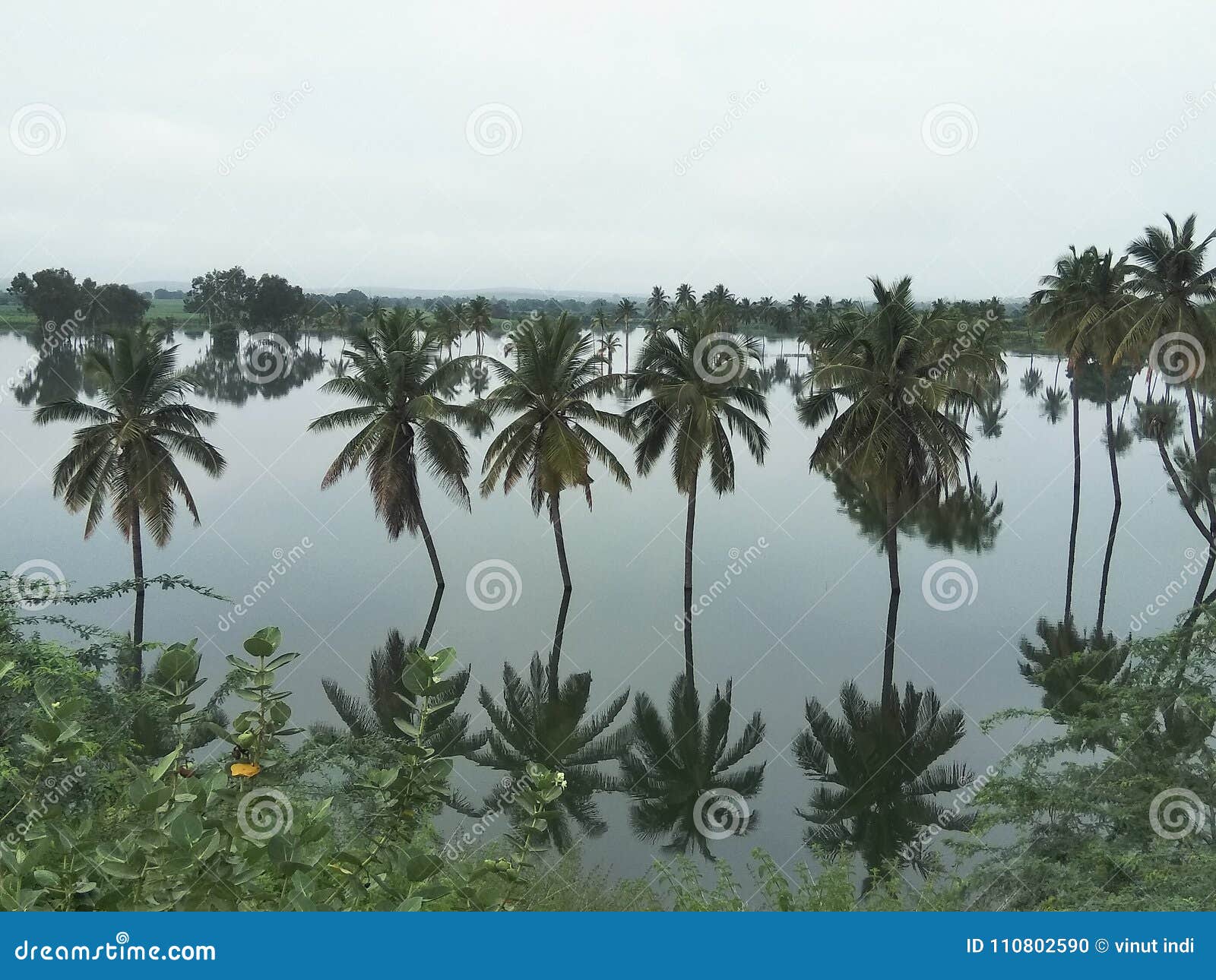 Bagalkot back water stock photo. Image of back, reflections - 110802590