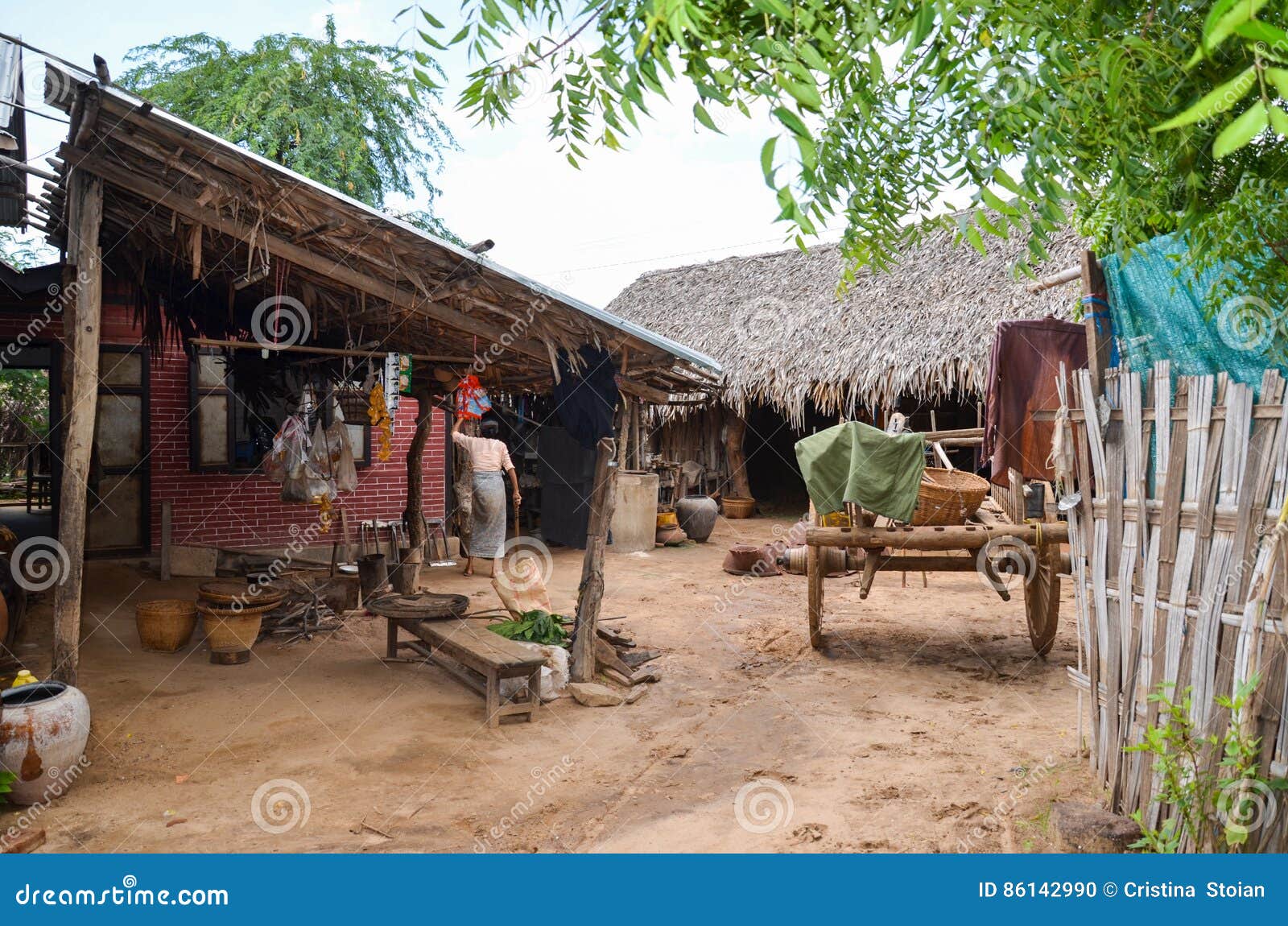 Bagan countryside, Myanmar editorial image. Image of cows - 86142990
