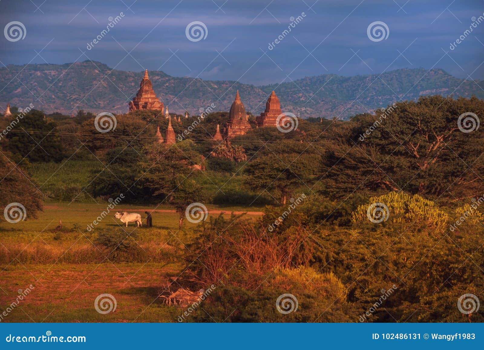 Bagan, Myanmar. stock image. Image of buddha, restoration - 102486131