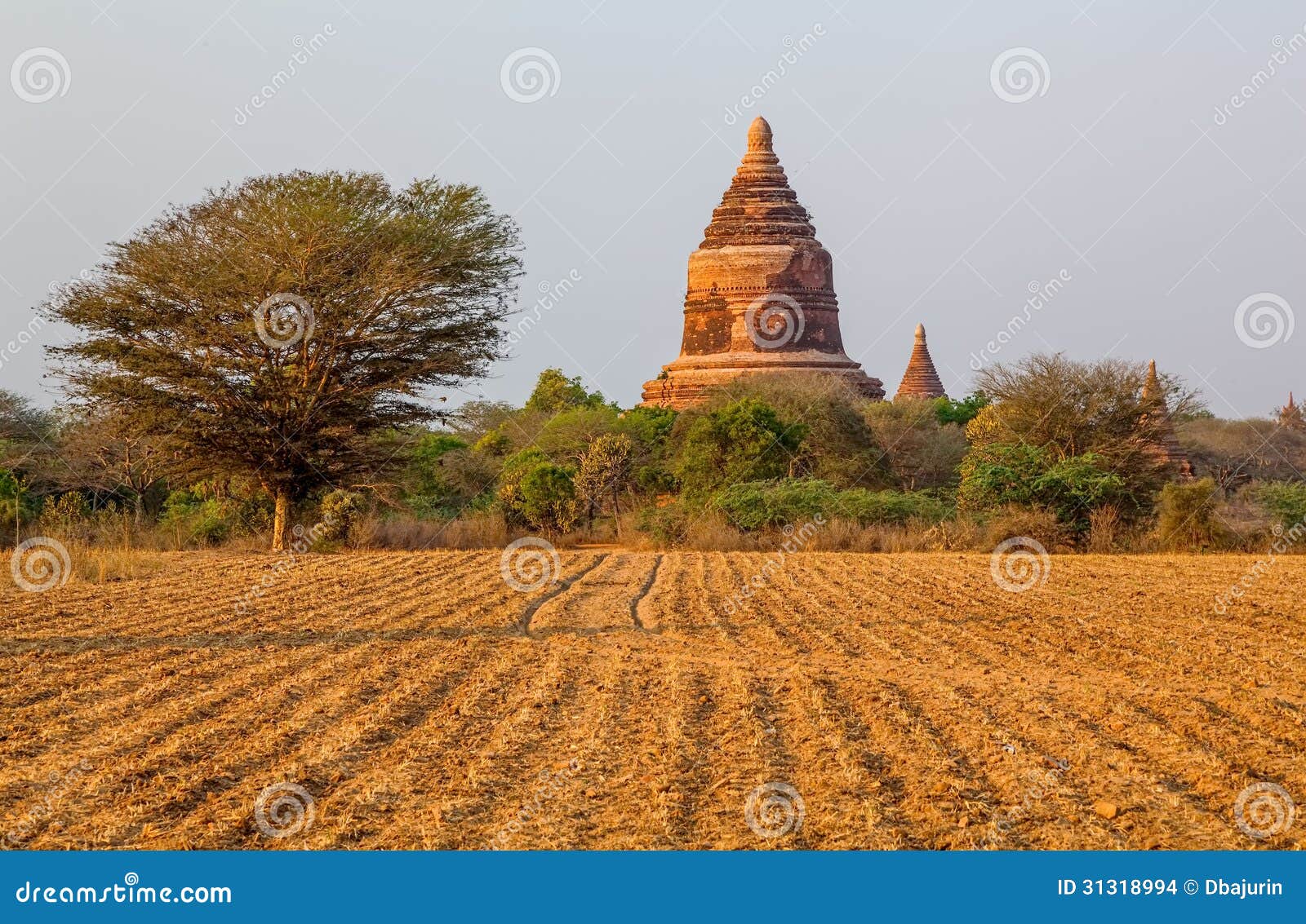 Bagan - Pagoda in the Field Stock Photo - Image of panorama, famous ...