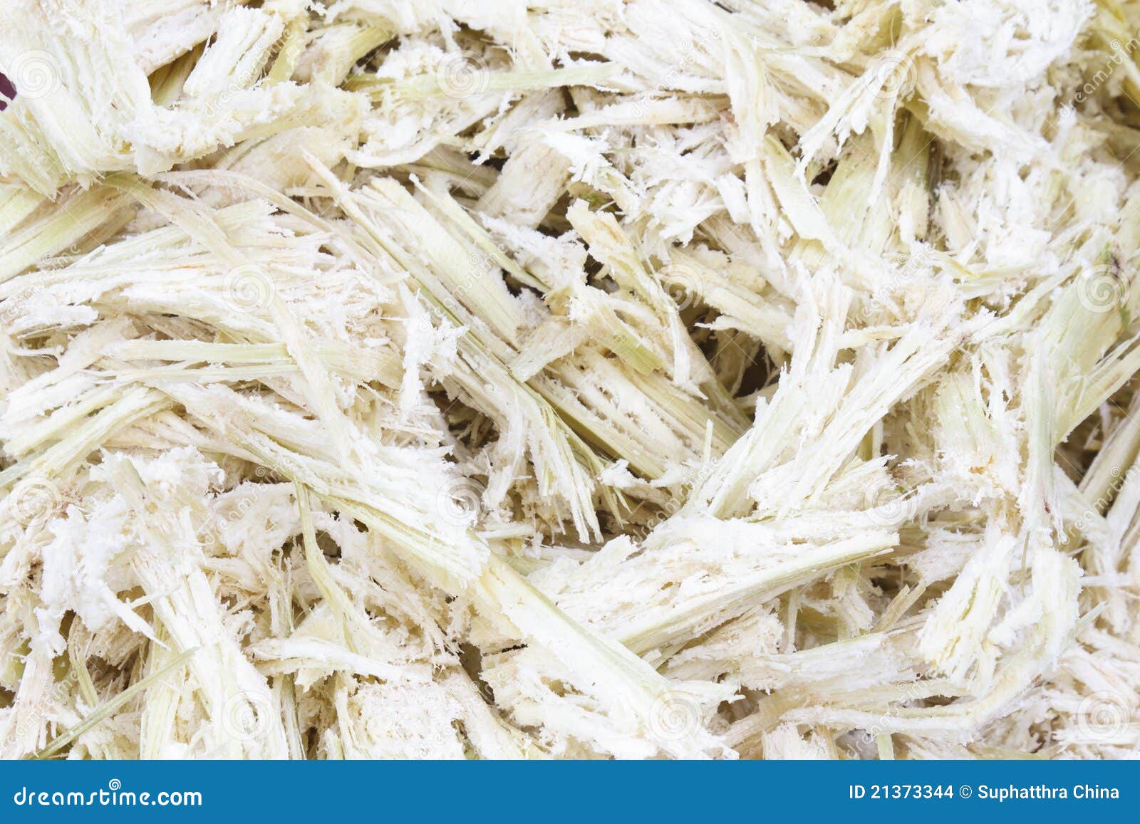 Bagazo foto de archivo. Imagen de cosecha, machacado - 21373344