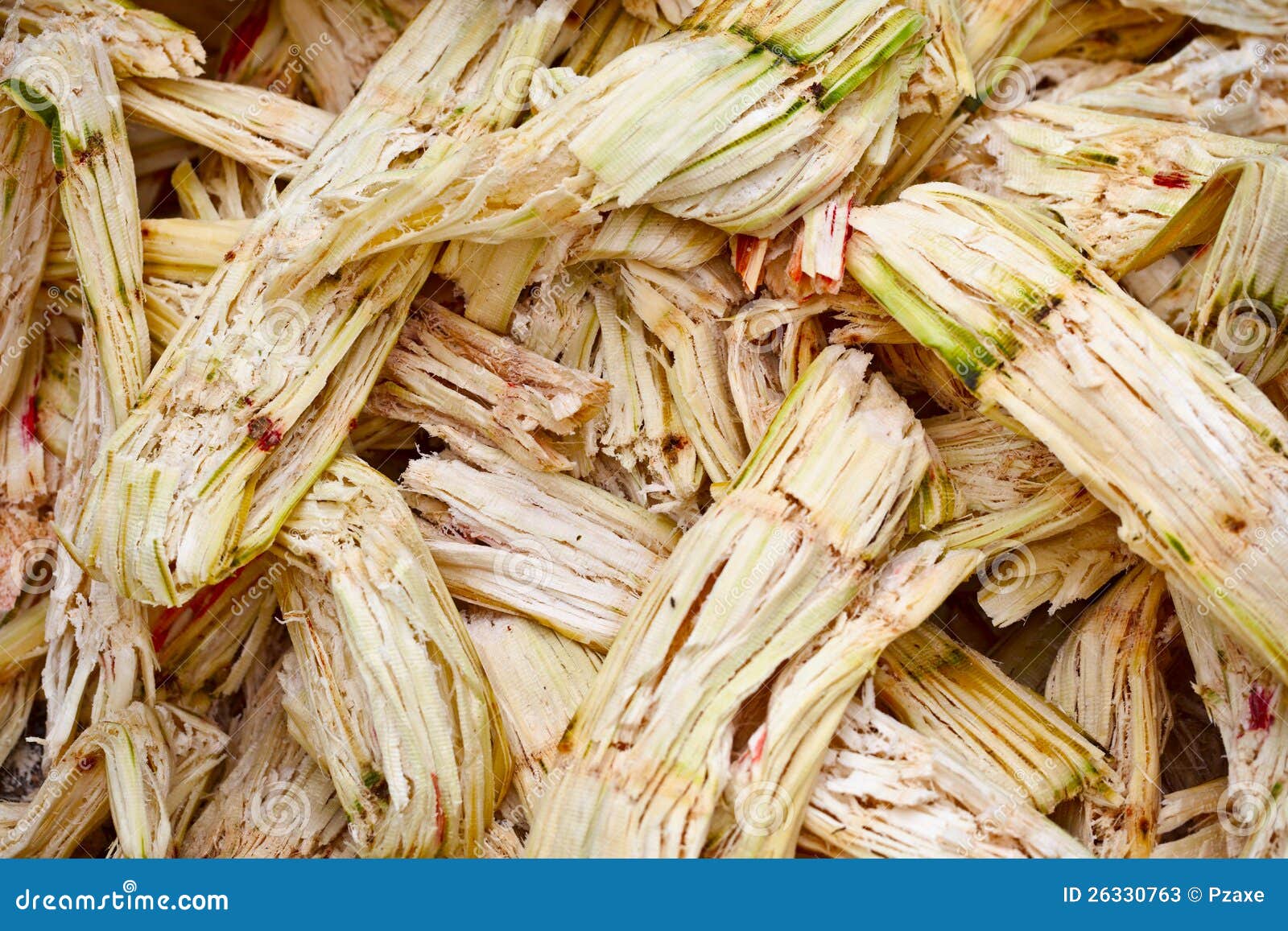 Bagazo De La Caña De Azúcar Fotos de archivo - Imagen: 26330763