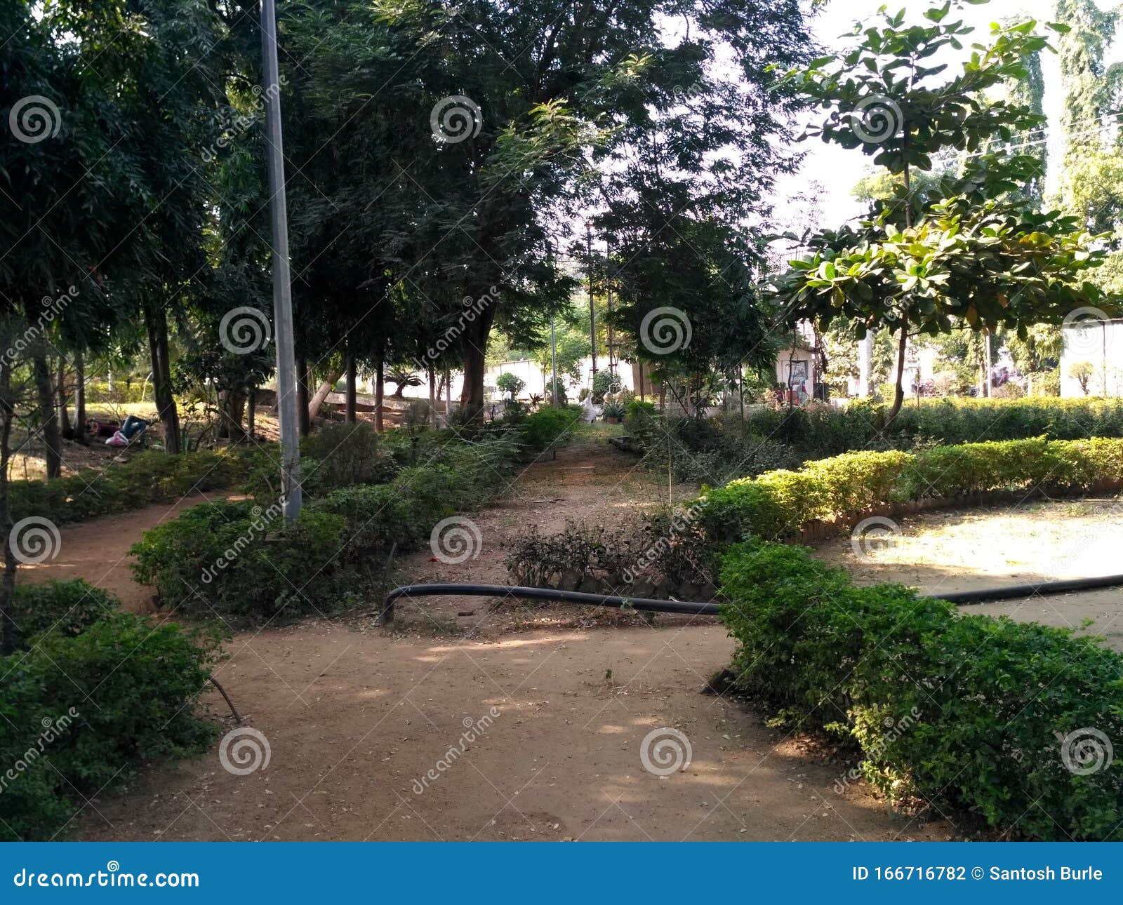 Bagban garden stock photo. Image of garden, bagban, bagicha - 166716782