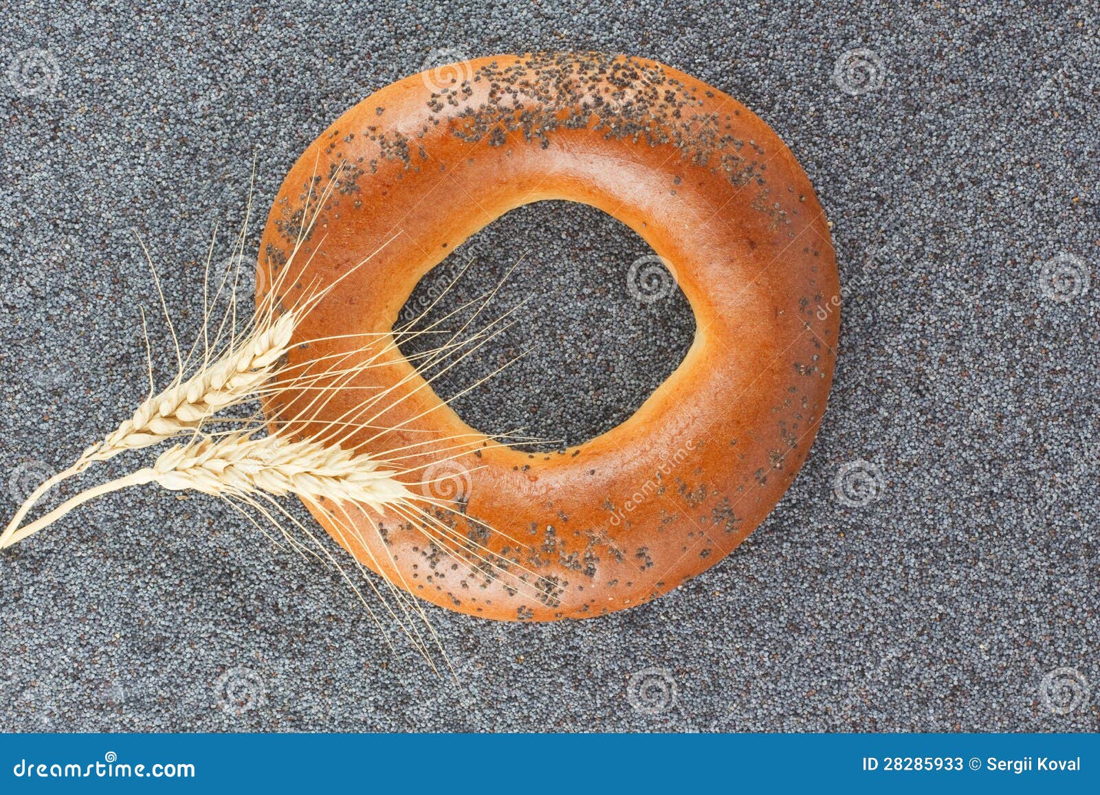 Bagel, poppy and ears stock image. Image of circle, healthy - 28285933