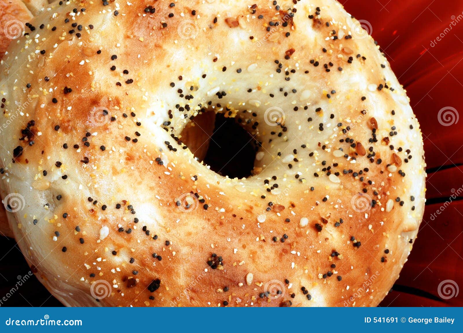 Bagel with seeds. stock image. Image of sesame, bread, sandwich - 541691