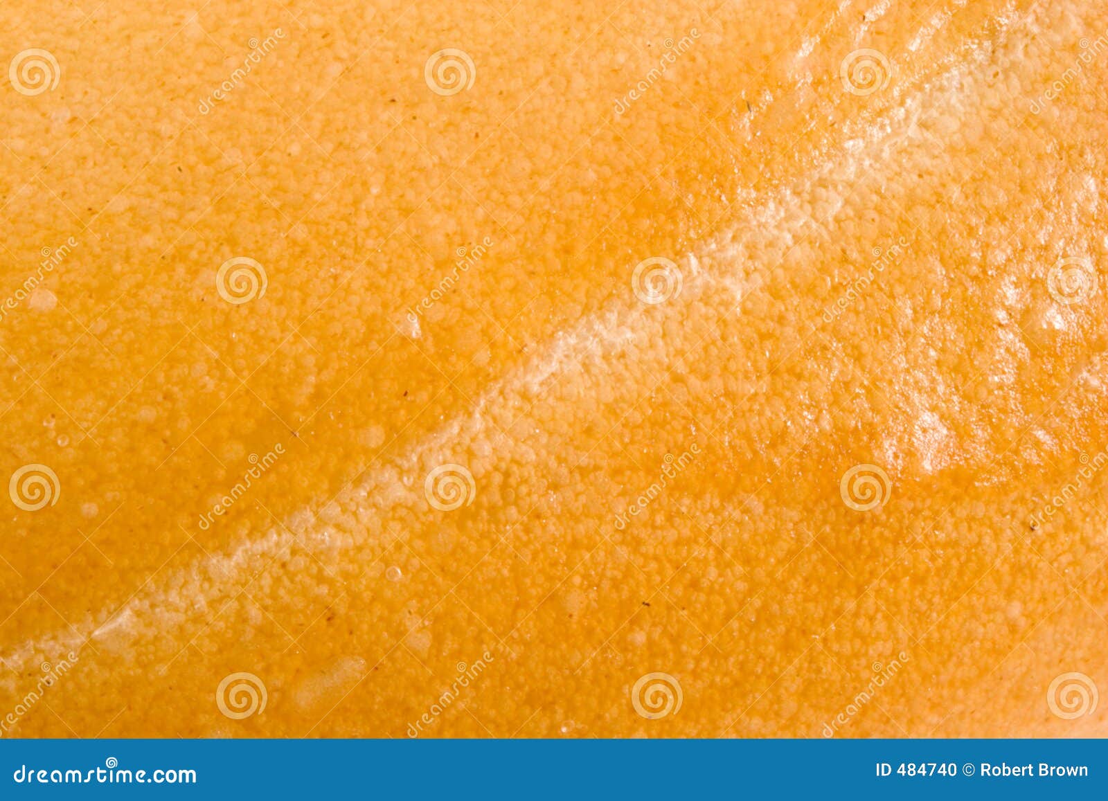 Bagel Texture stock photo. Image of pattern, bright, surface - 484740