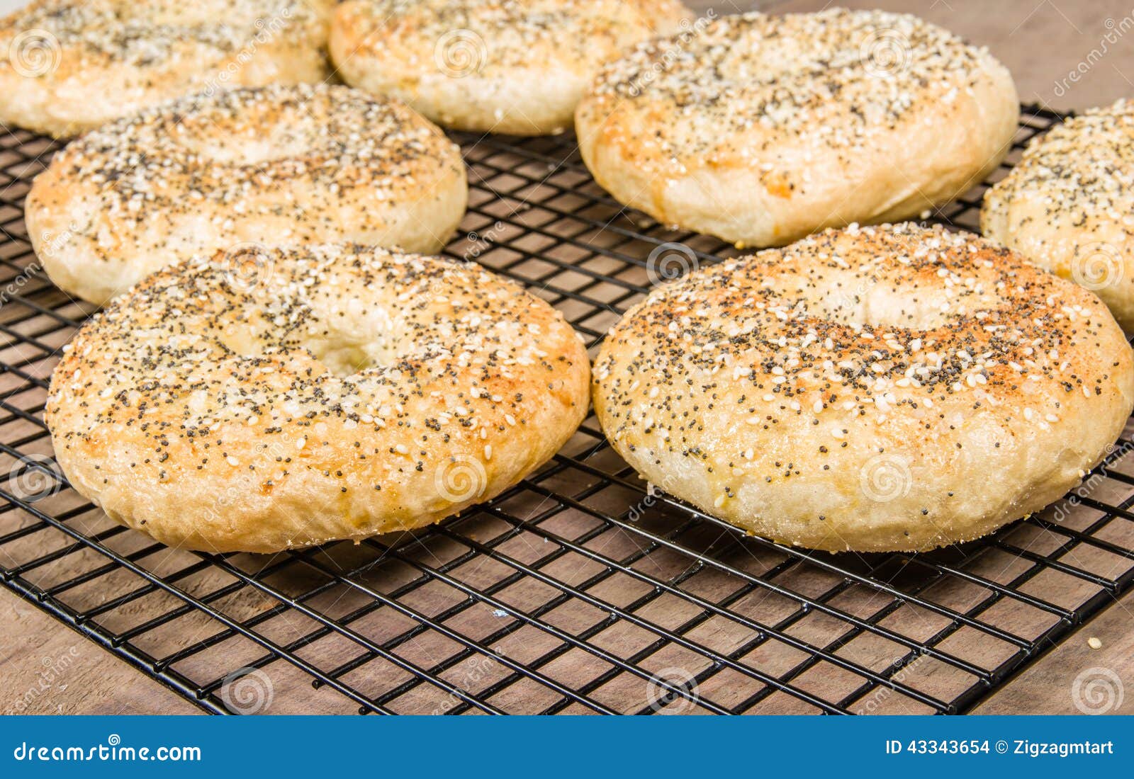 Bagels just baked on racks stock photo. Image of bake - 43343654
