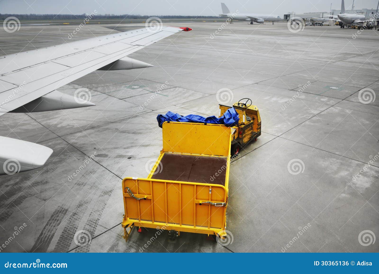 Baggage trolleys stock photo. Image of equipment, carrier - 30365136