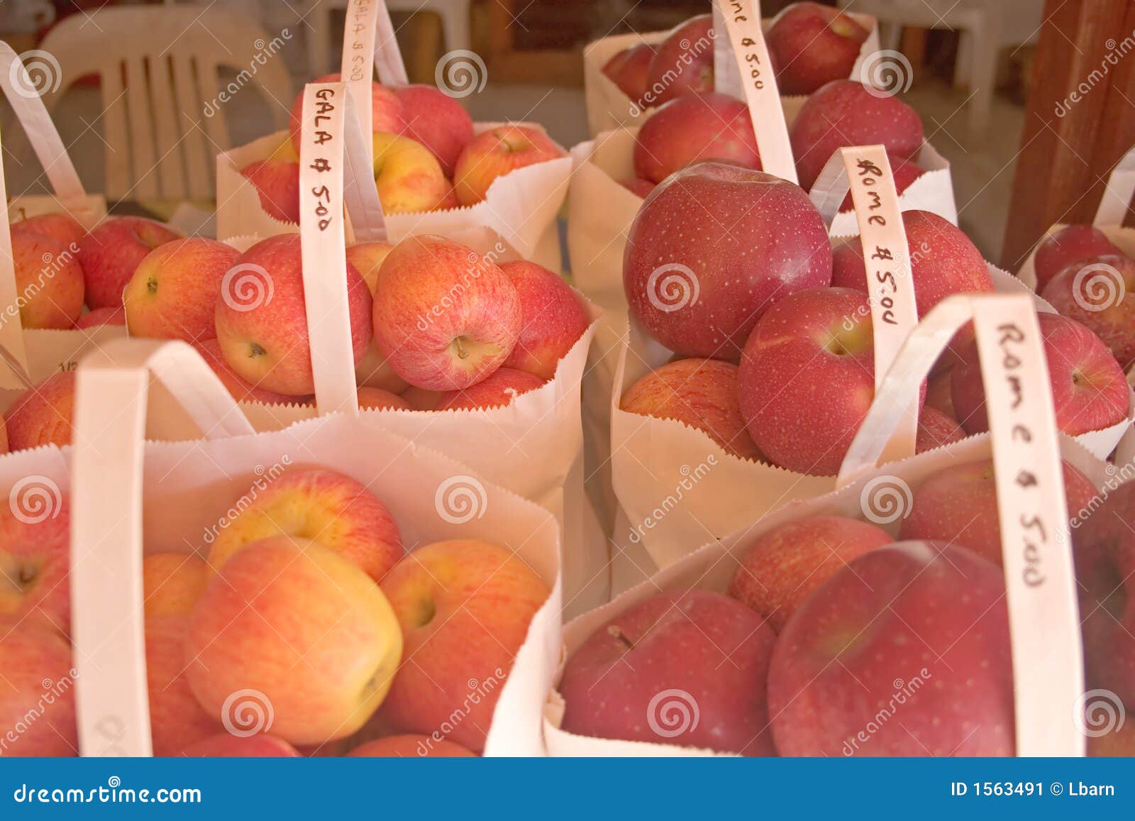 Bagged apples stock image. Image of fall, harvest, snack - 1563491