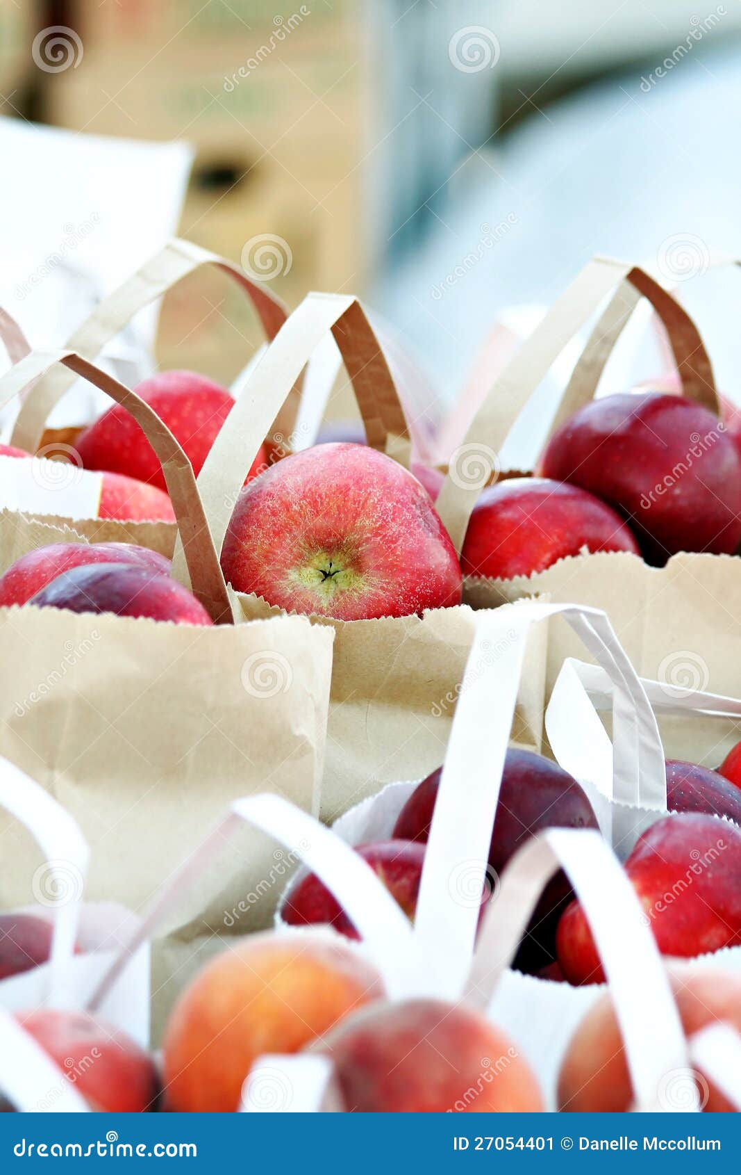 Bagged Apples stock image. Image of bags, healthy, harvest - 27054401