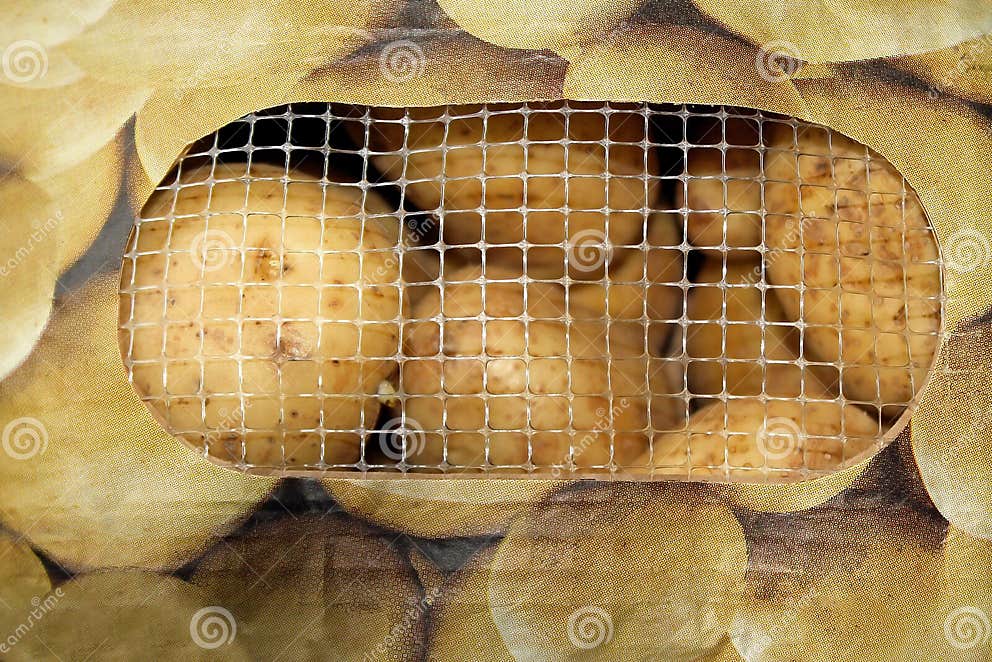 Bagged Potatoes stock photo. Image of market, grocery - 28586808