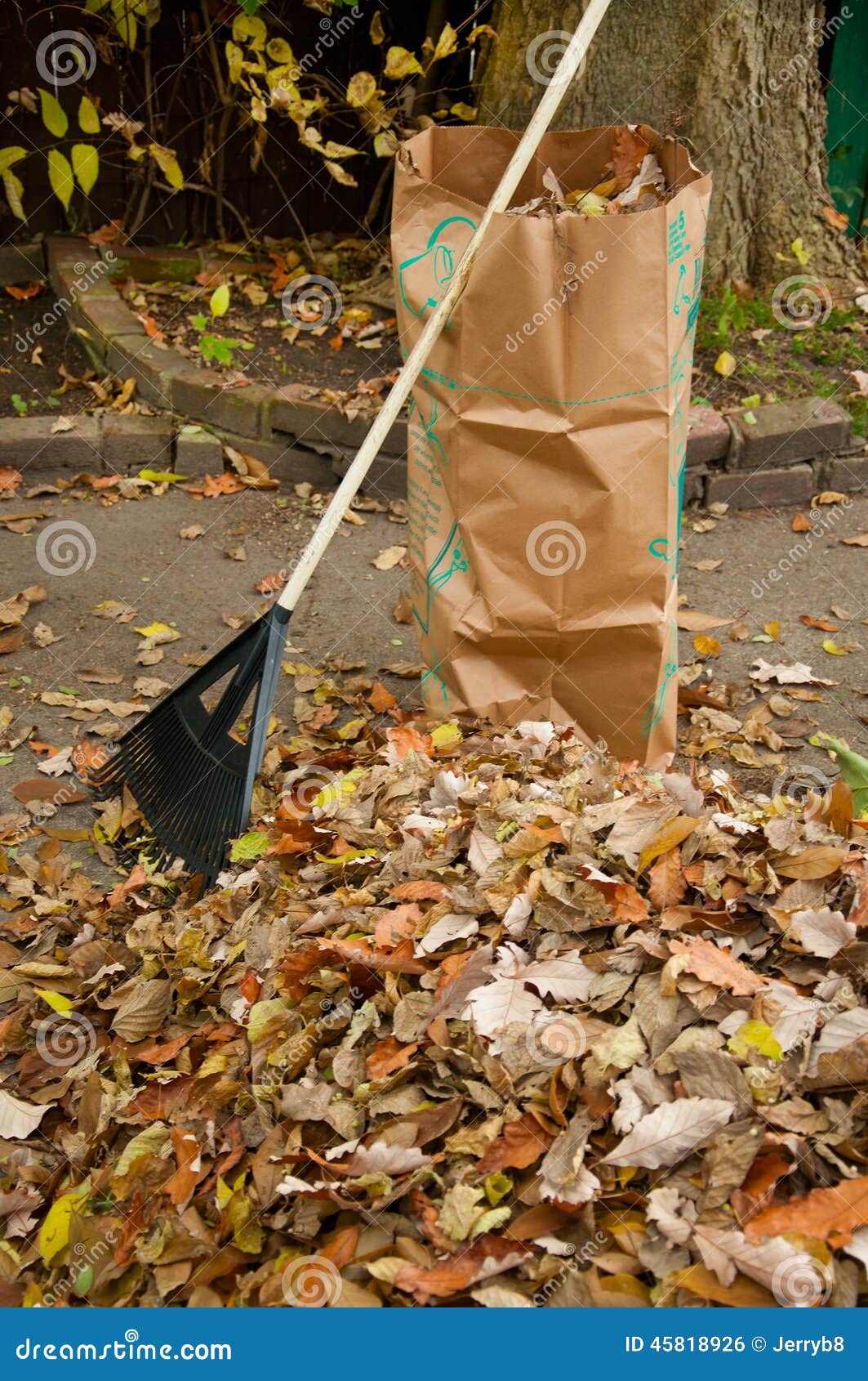 Bagging fall Leaves stock photo. Image of work, colorful - 45818926