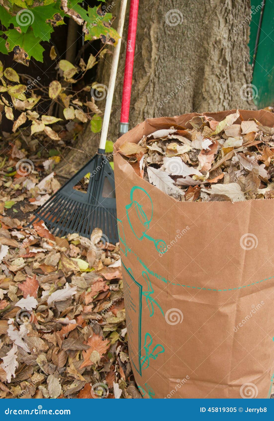 Bagging fall Leaves stock image. Image of waste, leaves - 45819305