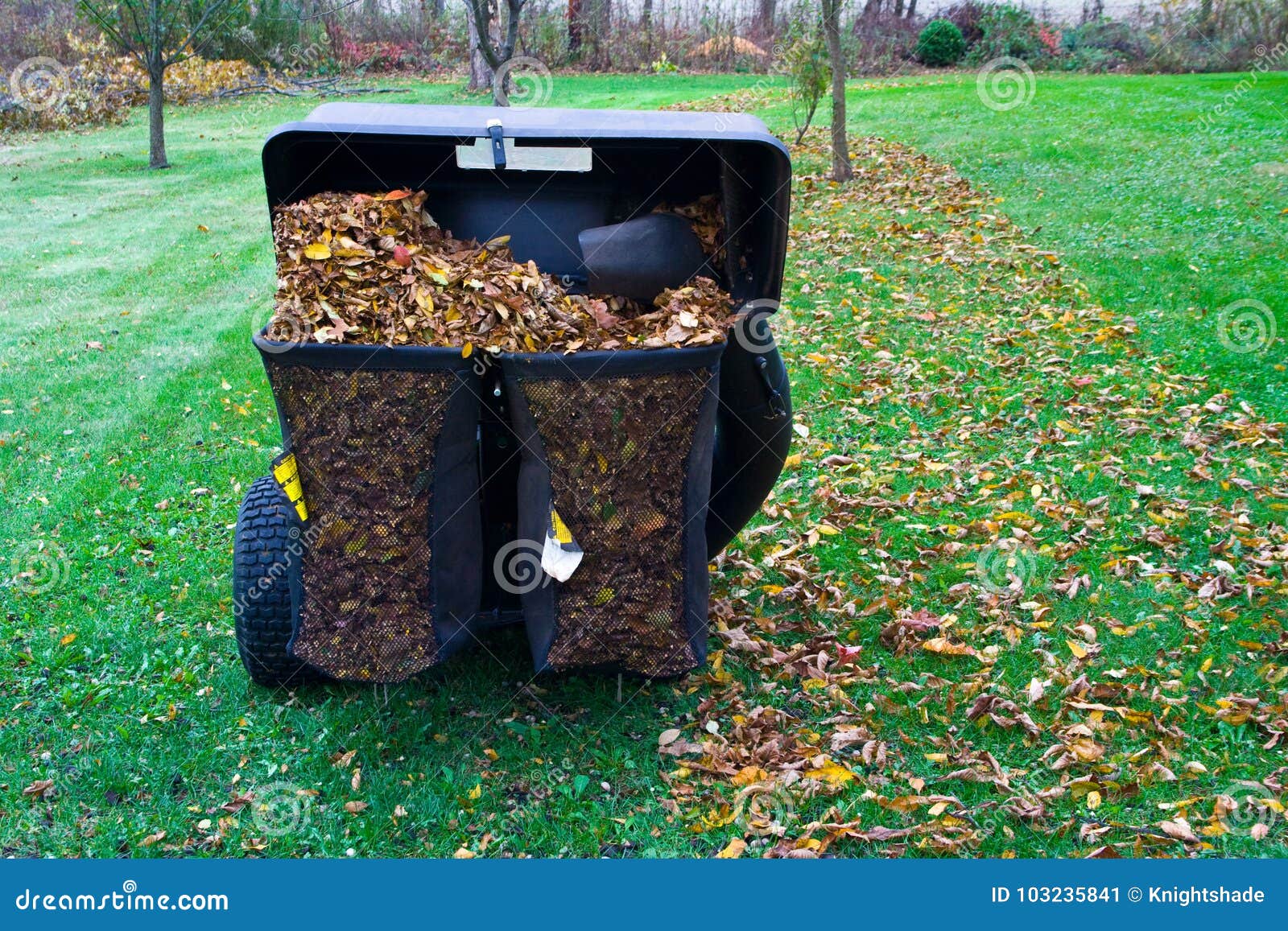 Bagging leaves stock image. Image of catching, cleanup - 103235841
