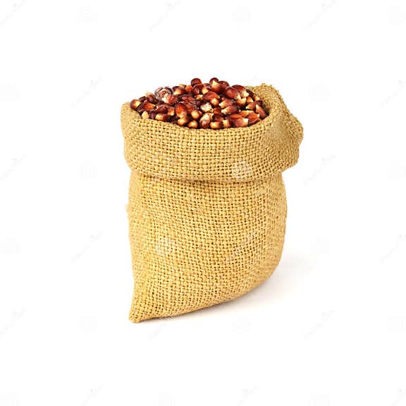 Baggy Sack of Corn on White Background. Brown Corn Kernels Stock Image ...