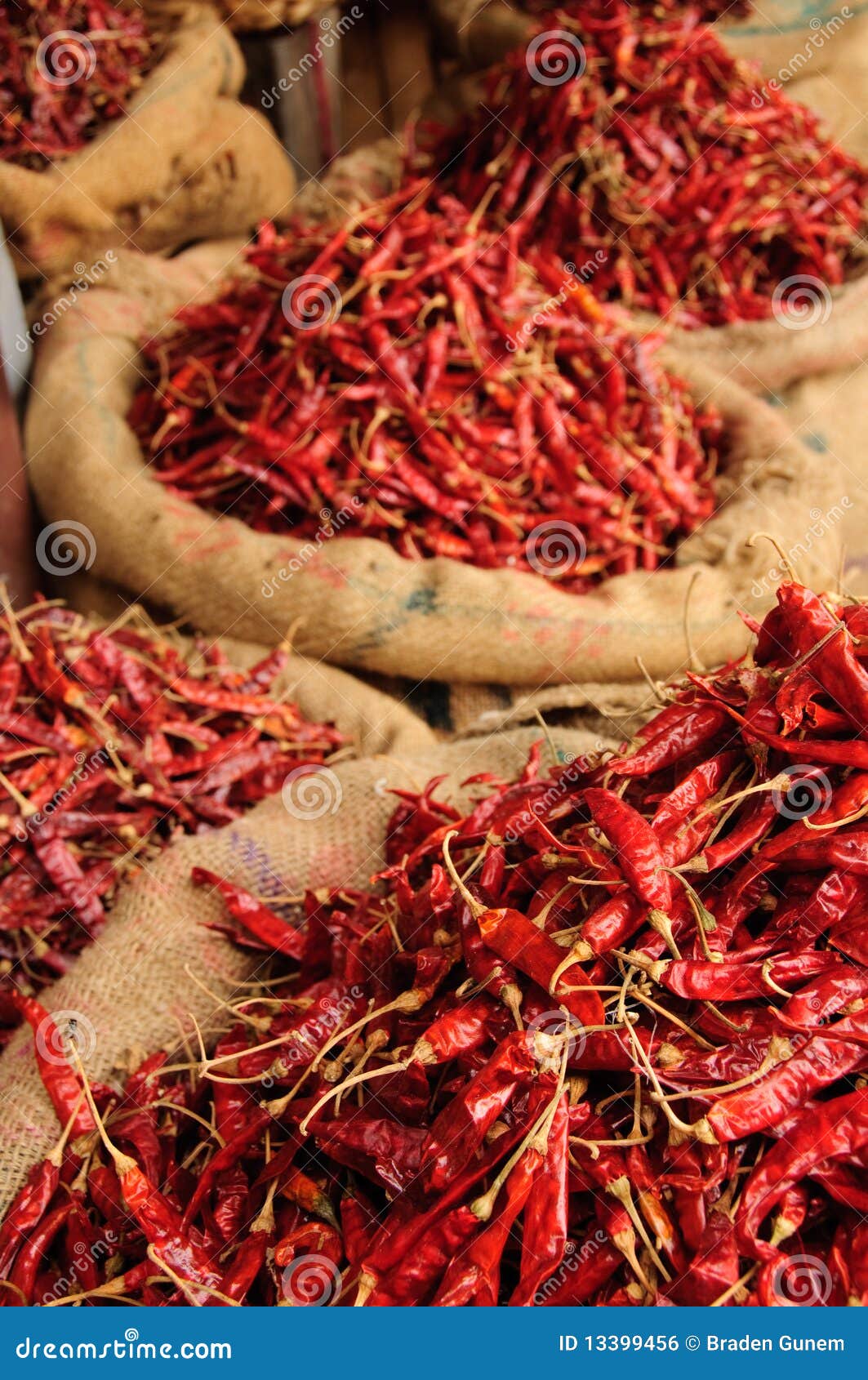 Bags of Chillis stock photo. Image of chiles, depth, fiery - 13399456