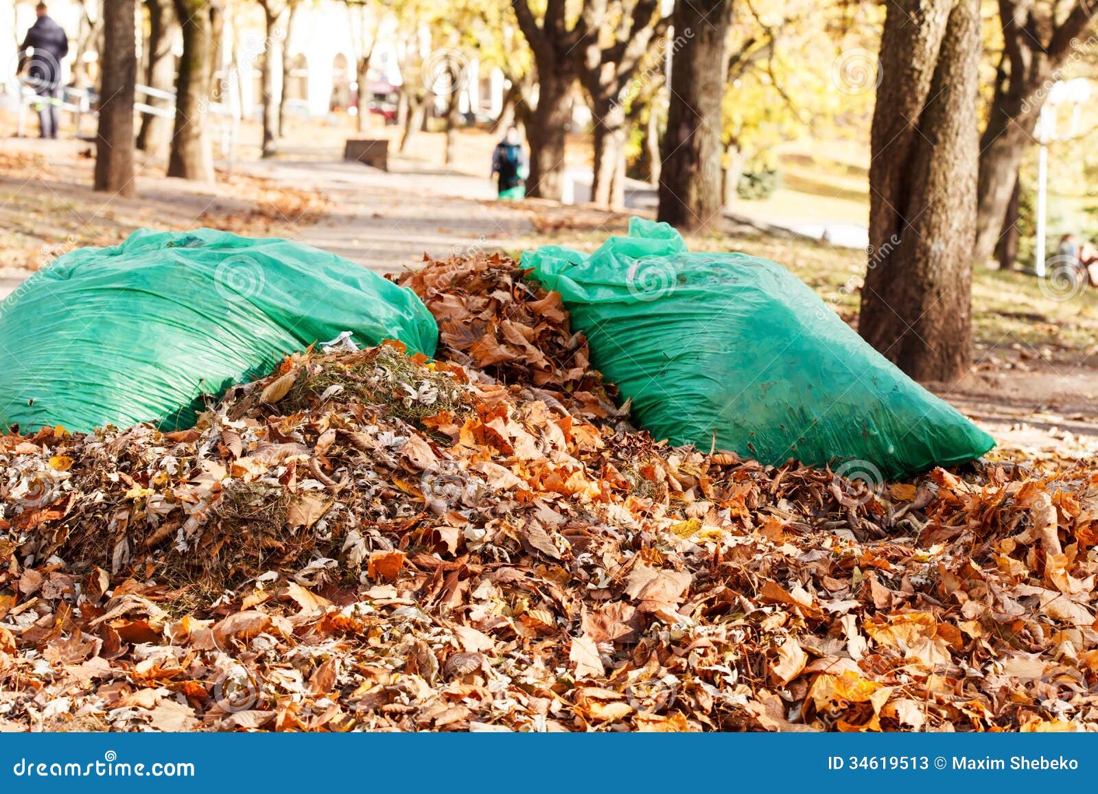 Bags of oak stock image. Image of tree, season, bags - 34619513