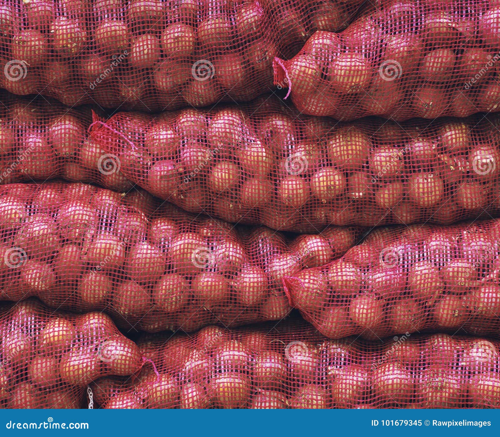 Bags of red onions stock image. Image of onions, root - 101679345