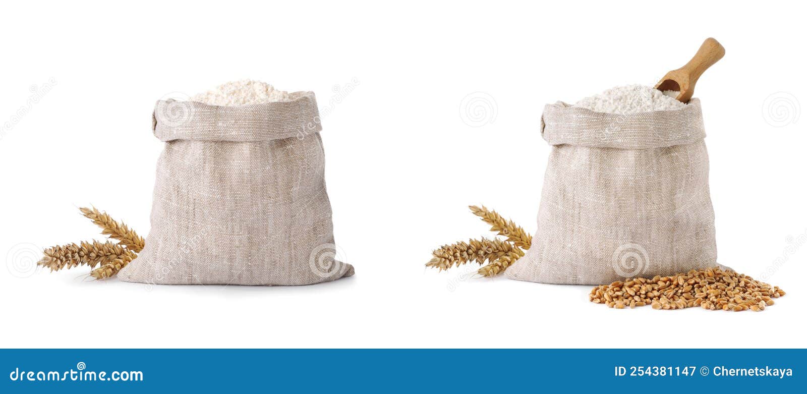Bags with Wheat Flour on White Background. Banner Design Stock Image ...