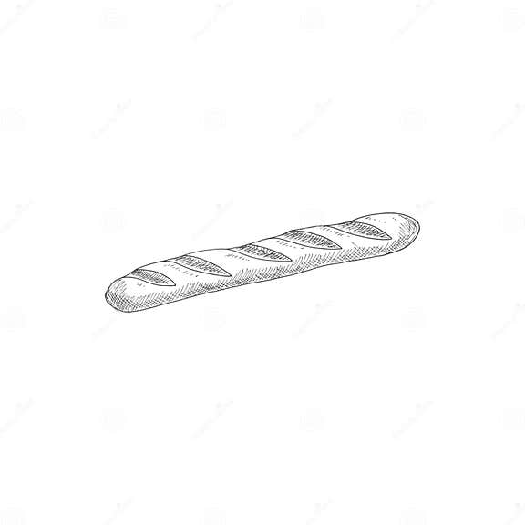 Baguette Wheat Bread Pastry Food Isolated Sketch Stock Vector