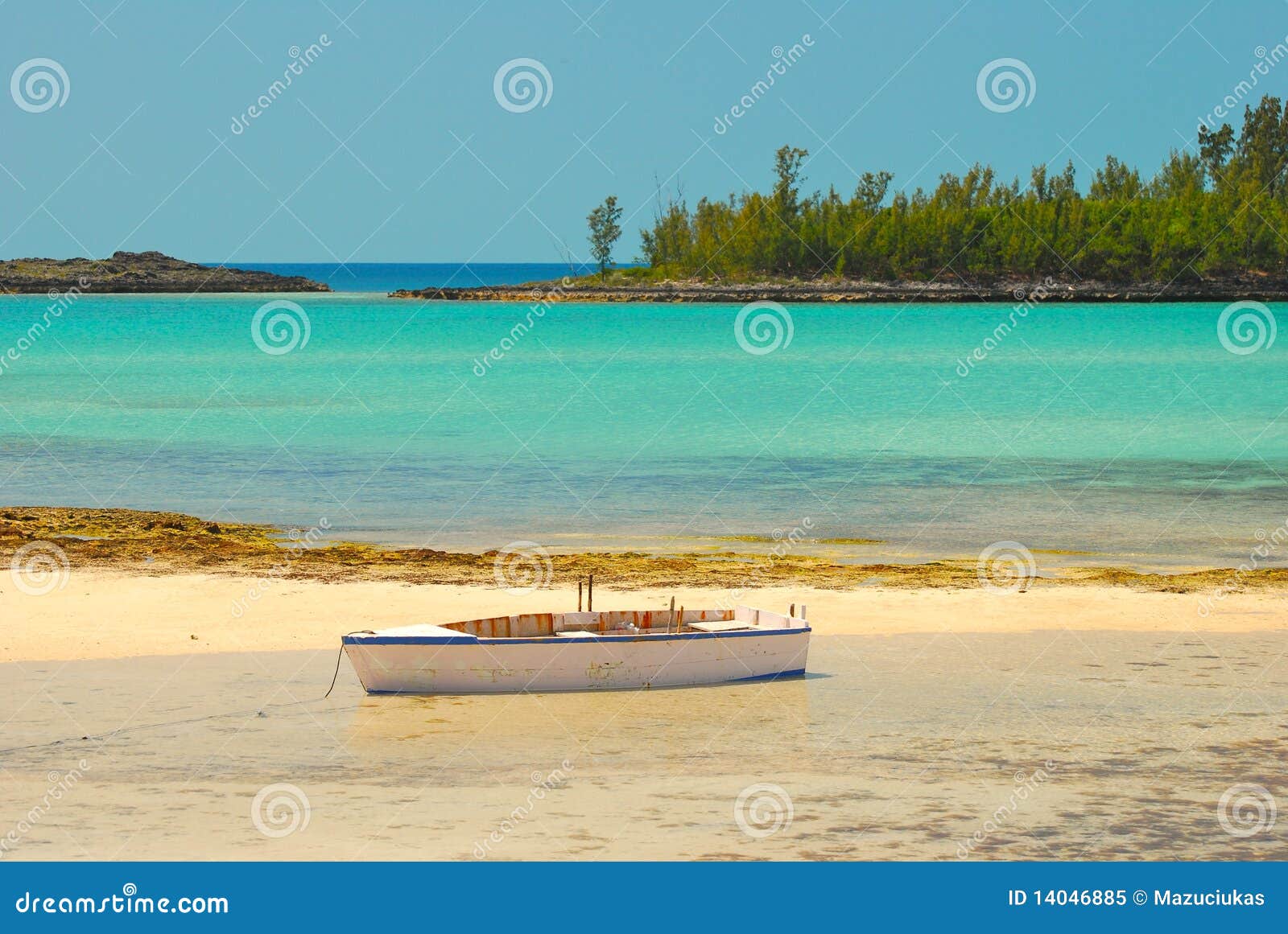Bahamas beach and boat stock image. Image of corals, tree - 14046885