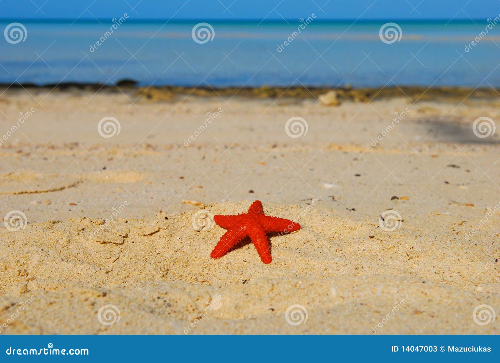 Bahamas beach and star stock image. Image of scenic, summer - 14047003