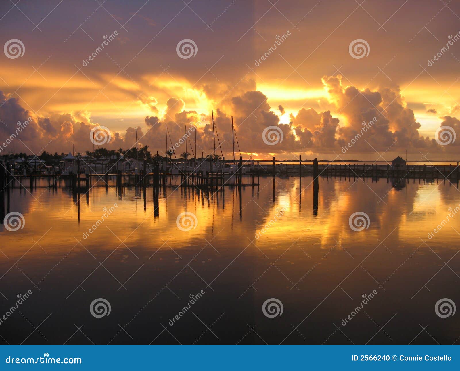 Bahamas Sunrise stock photo. Image of bahamas, morning - 2566240
