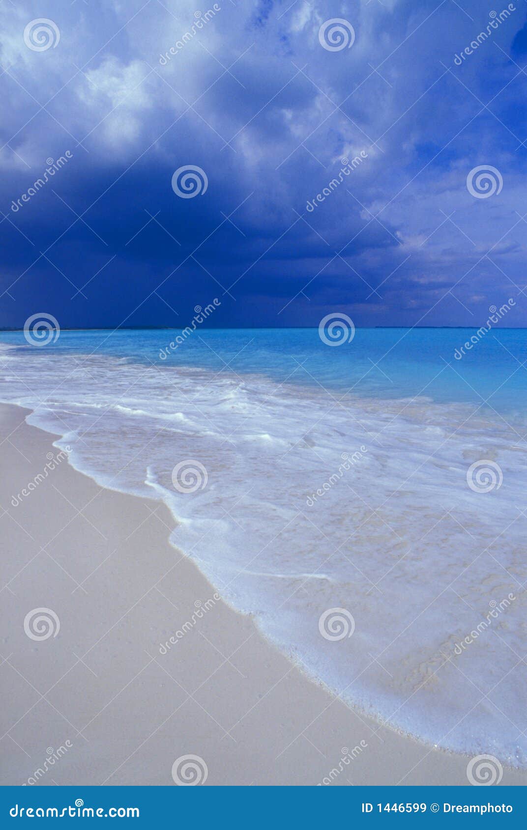 Bahamas Tropics 03 stock image. Image of honeymoon, florida - 1446599