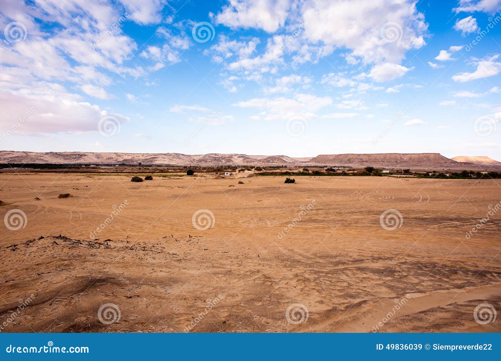 Bahariya Oasis. Egypt stock image. Image of depression - 49836039