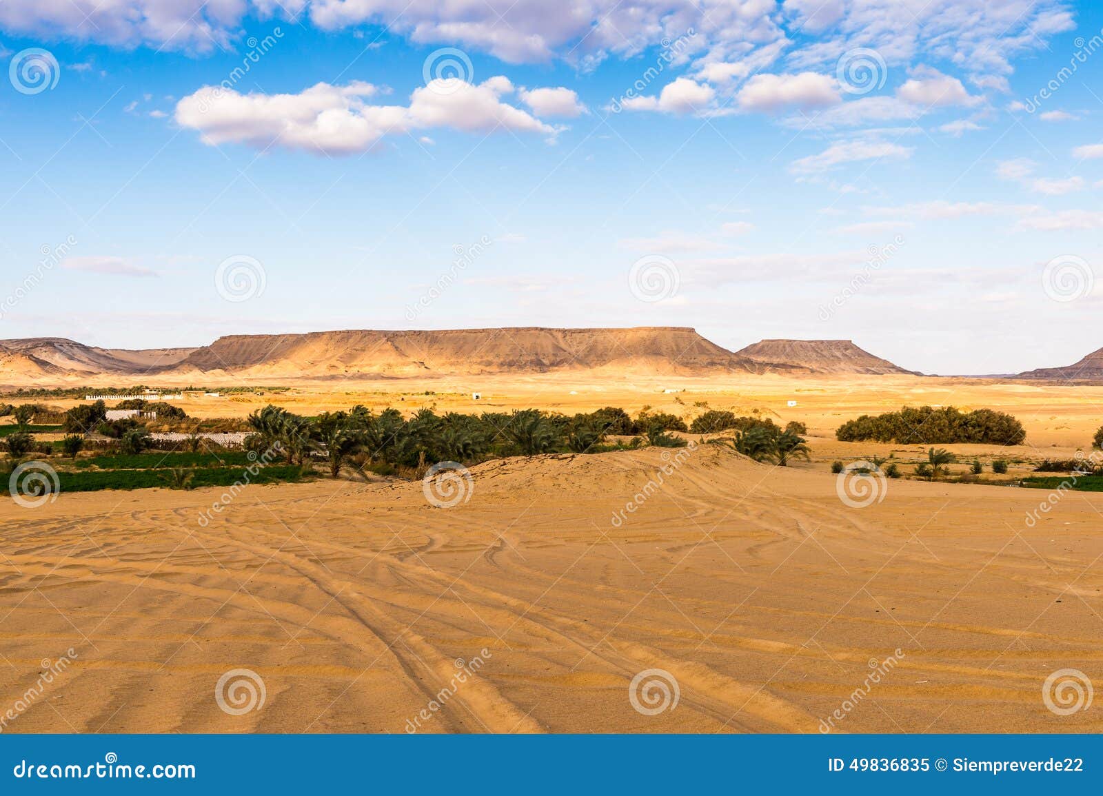 Bahariya Oasis. Egypt stock image. Image of panorama - 49836835