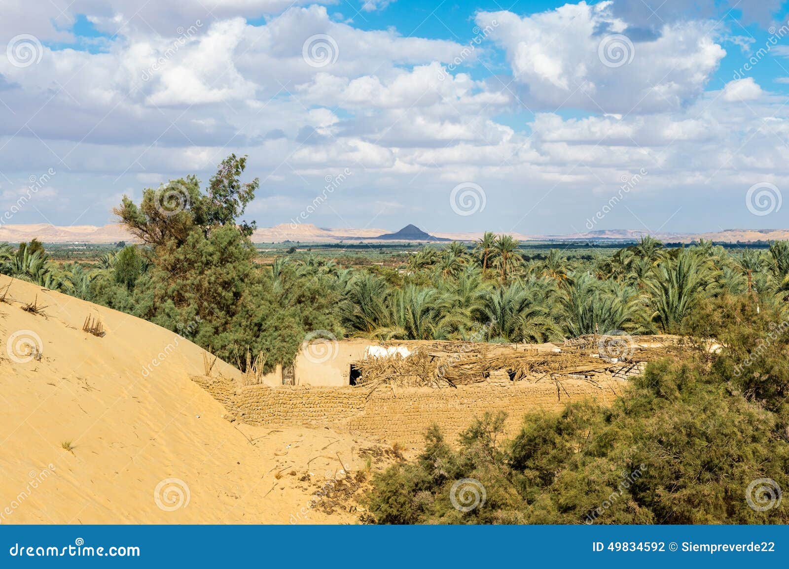 Bahariya Oasis. Egypt stock photo. Image of natural, arabic - 49834592