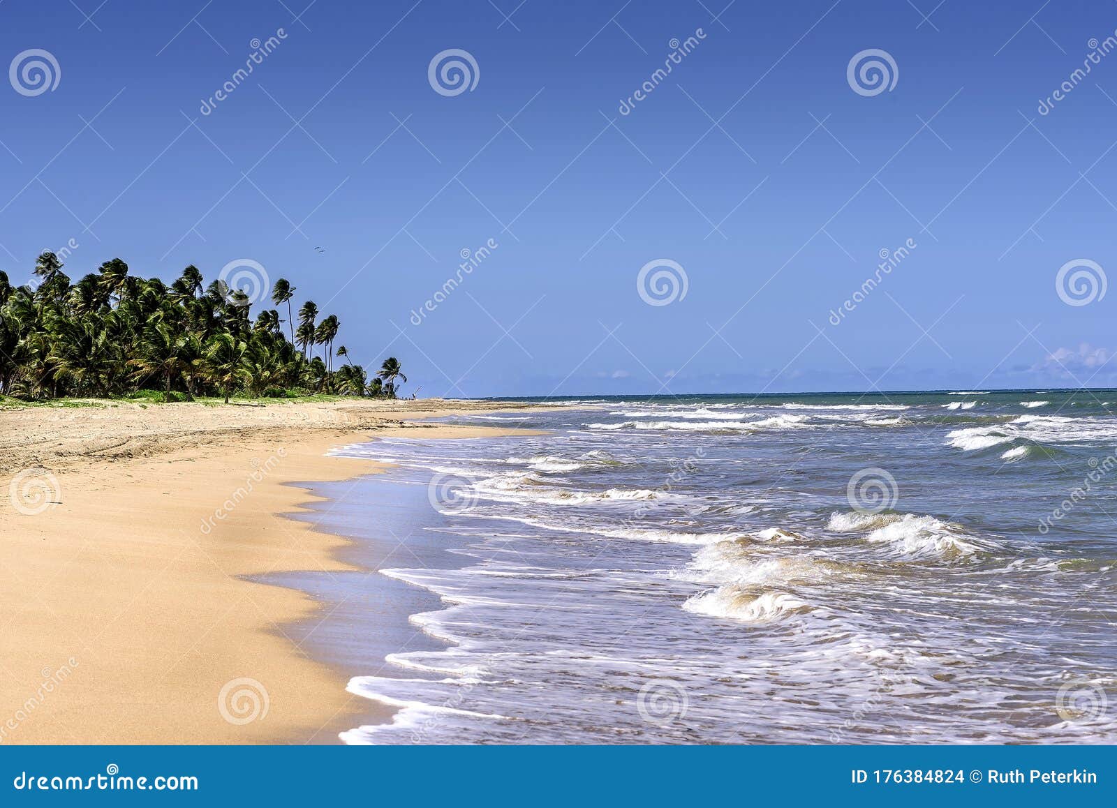 Bahia Beach in Puerto Rico stock photo. Image of view - 176384824