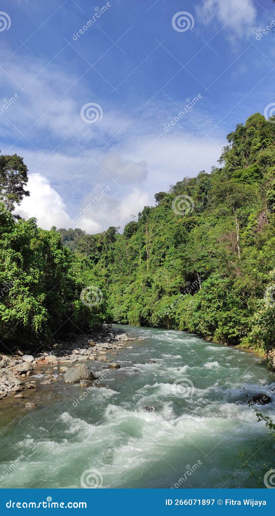 Bahorok River Which is in Langkat - Indonesia Stock Image - Image of ...