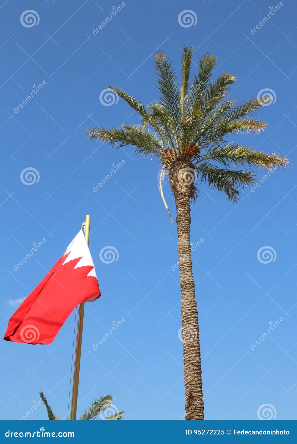 Bahrein Flag and a Palm Tree Stock Image - Image of backgrounds, middle ...