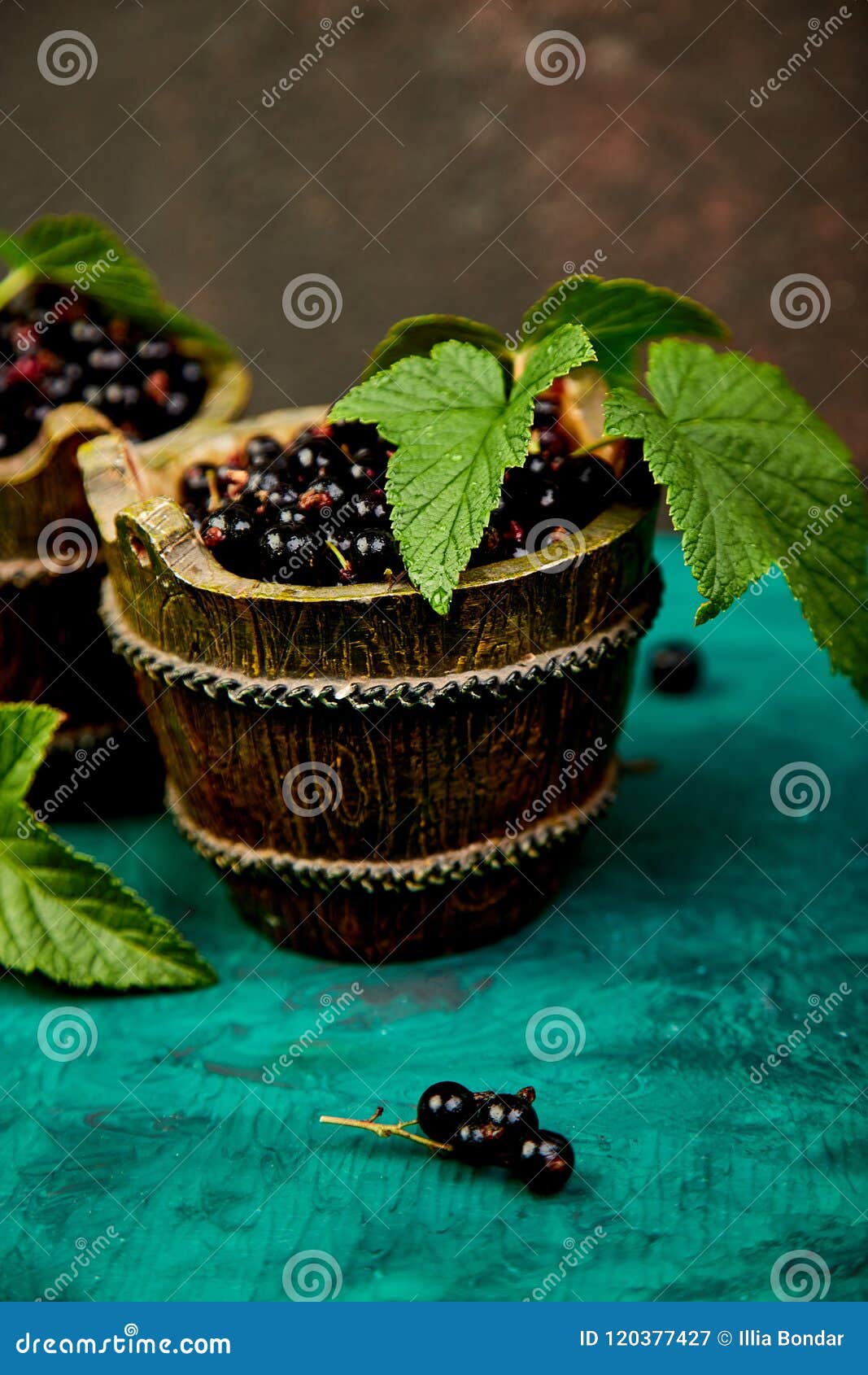 Baies De Cassis Avec Des Feuilles, Cassis Image stock - Image du sain ...