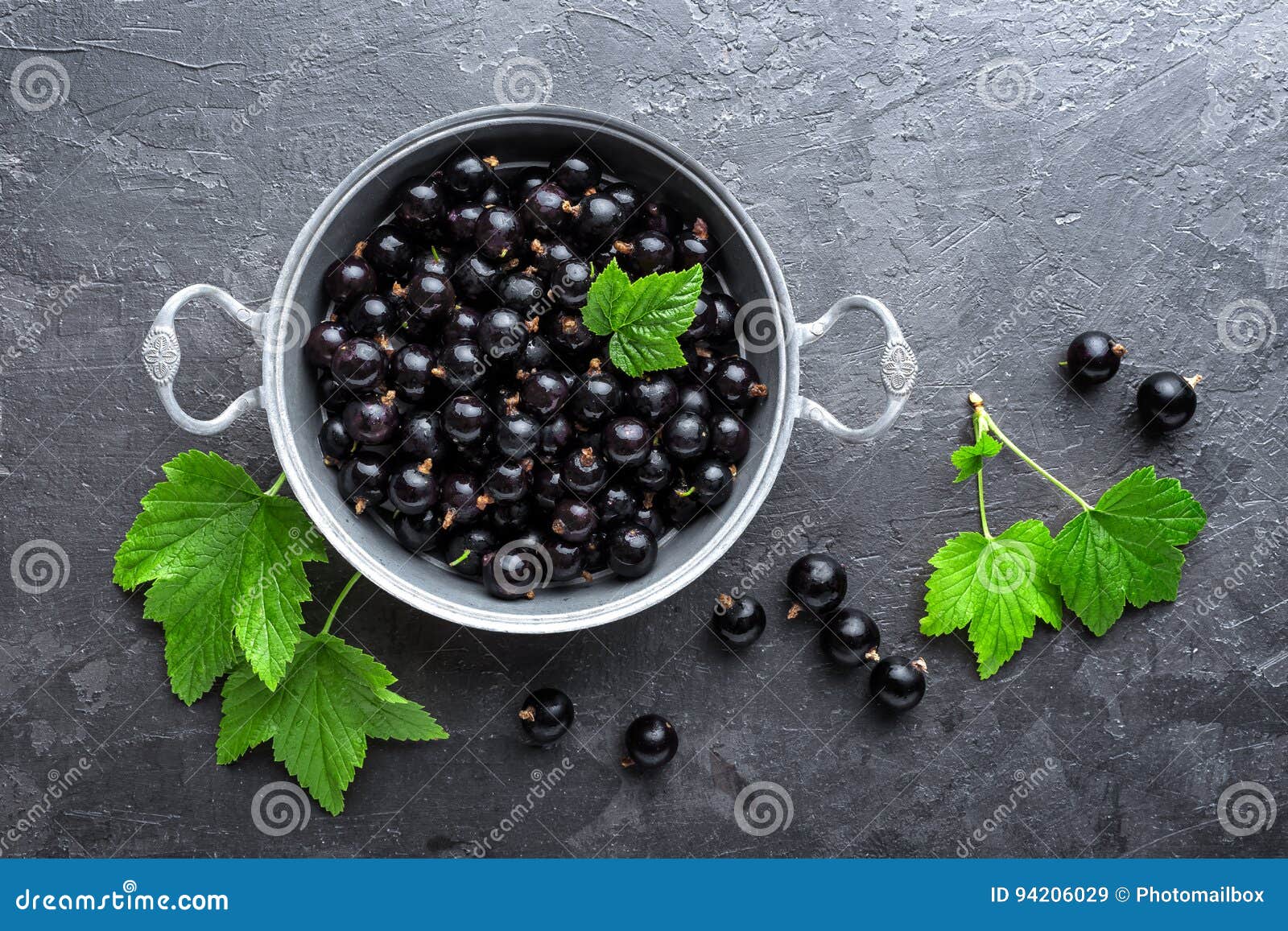 Baies De Cassis Avec Des Feuilles, Cassis Image stock - Image du vert ...