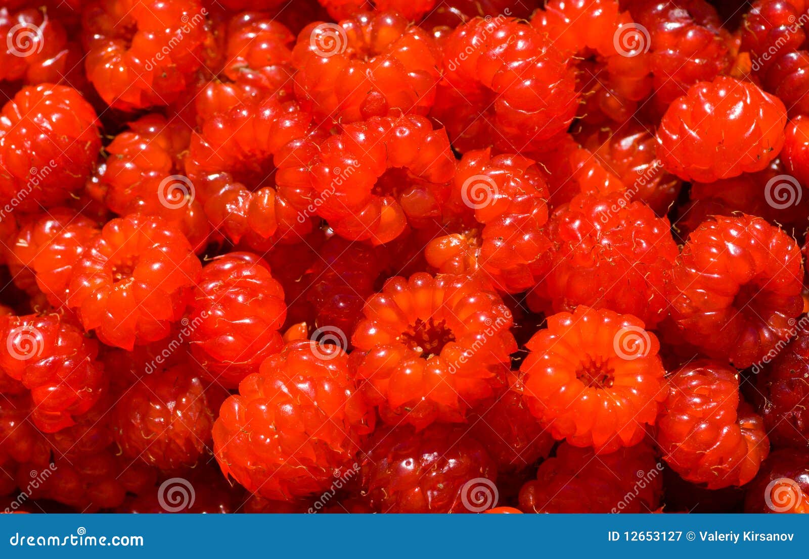 Baies De La Framboise Sauvage 13 Image stock - Image du normal, baie ...