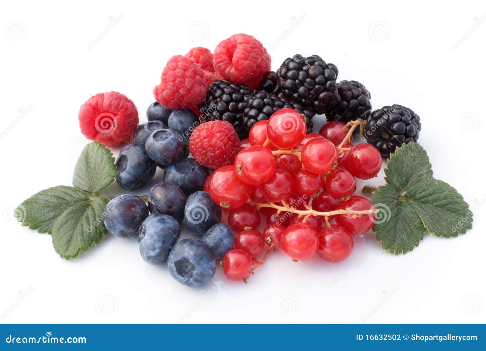 Baies rouges photo stock. Image du nourriture, juteux - 16632502