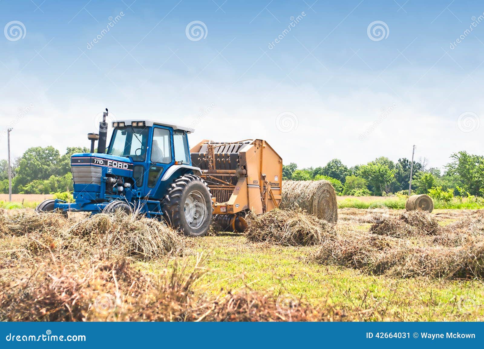 Bailing grass hay editorial photo. Image of circle, horse - 42664031