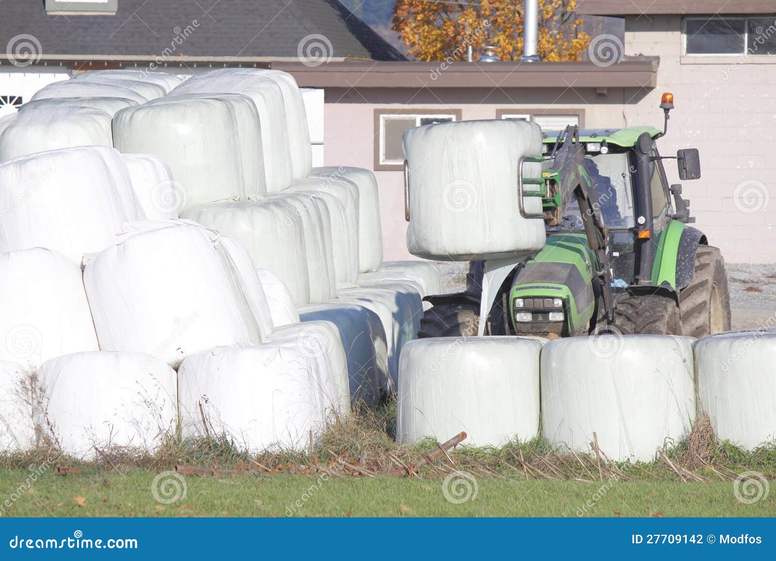 Bailing Hay stock photo. Image of farm, stacking, arranging - 27709142
