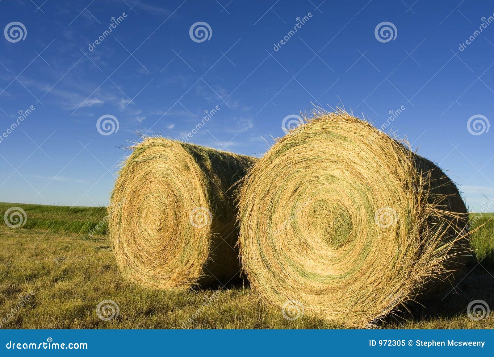 Bails stock image. Image of farming, industry, meadow, food - 972305