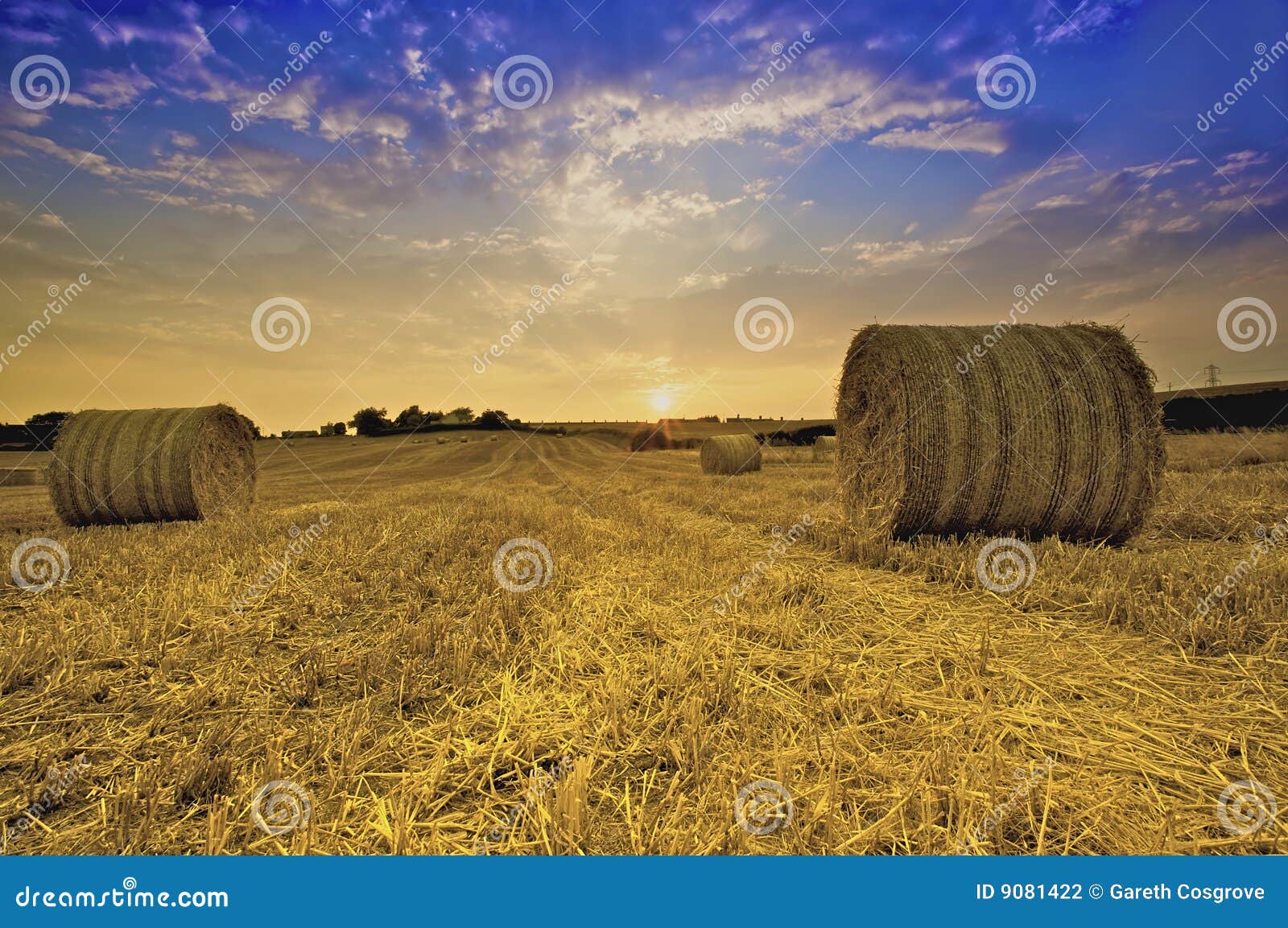 Bails of Golden Hay stock photo. Image of straw, countryside - 9081422