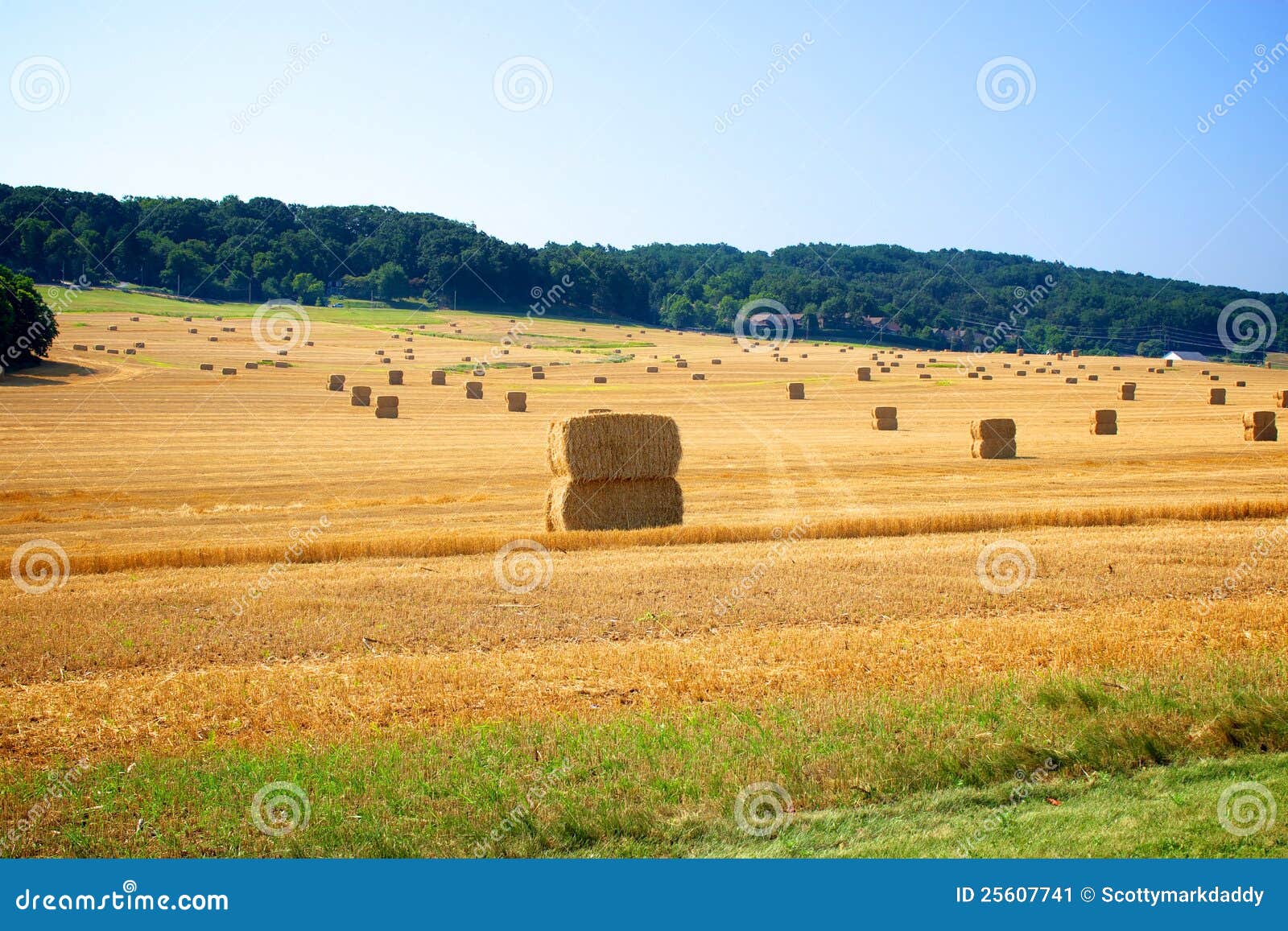 Bails of hay on farm land stock image. Image of daylight - 25607741
