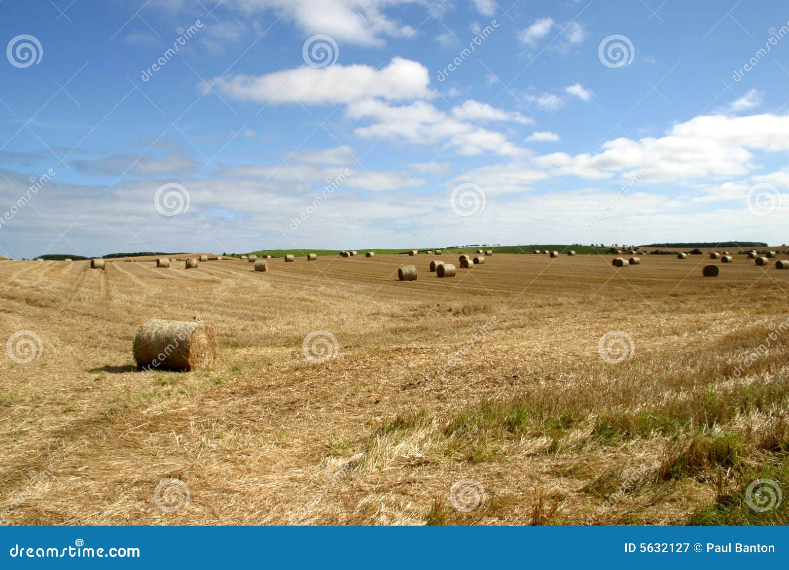 Bails of Hay in the Fields stock image. Image of country - 5632127