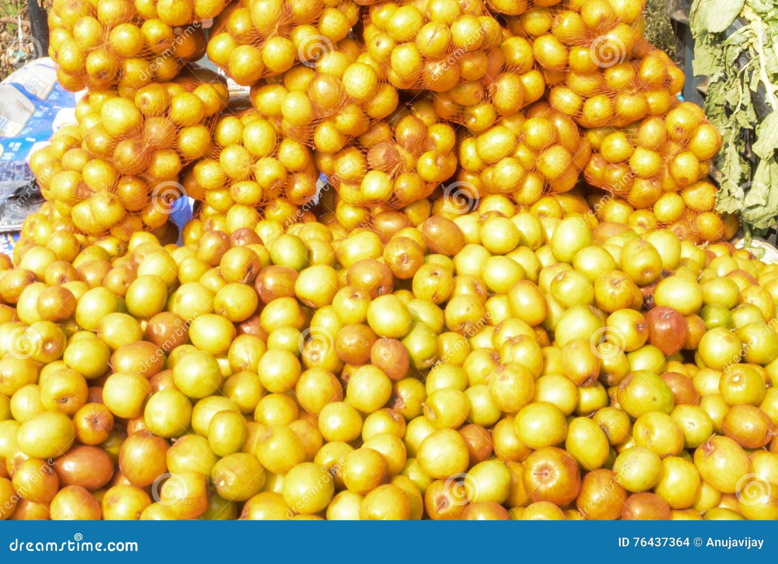 Bair (Chinese date) stock photo. Image of produce, health - 76437364