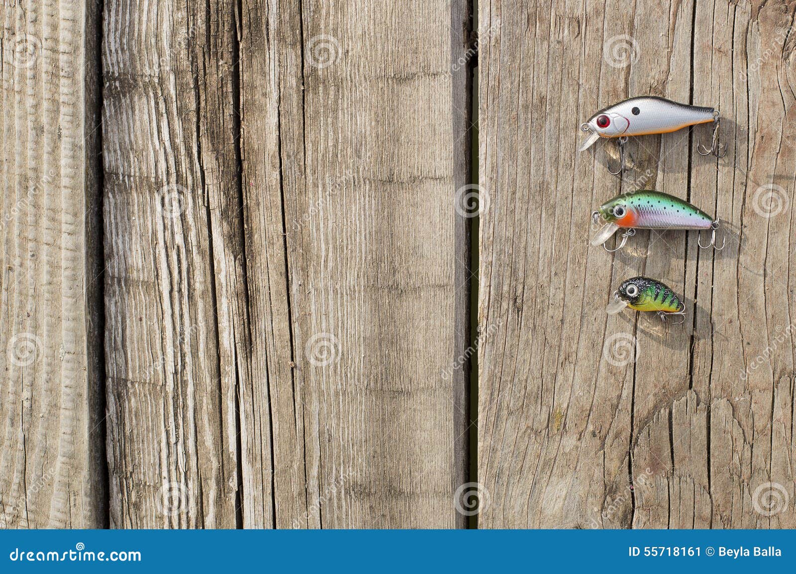 Bait fish stock image. Image of lake, fishing, luce, fish - 55718161