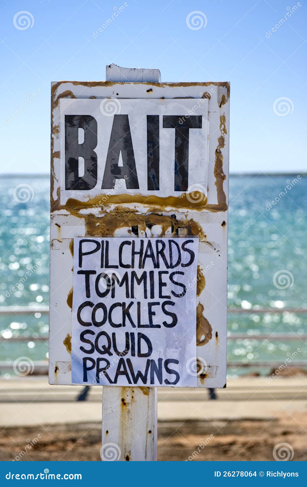 Bait Sign stock photo. Image of fish, market, pilchards - 26278064